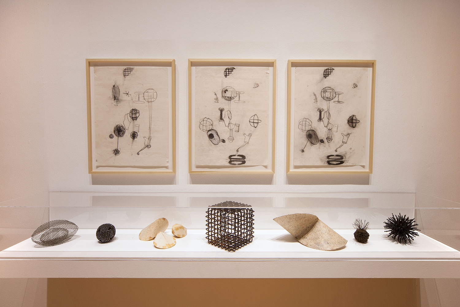 Richard Beckman | Exhibitions | USF CAM Contemporary Art Museum ...