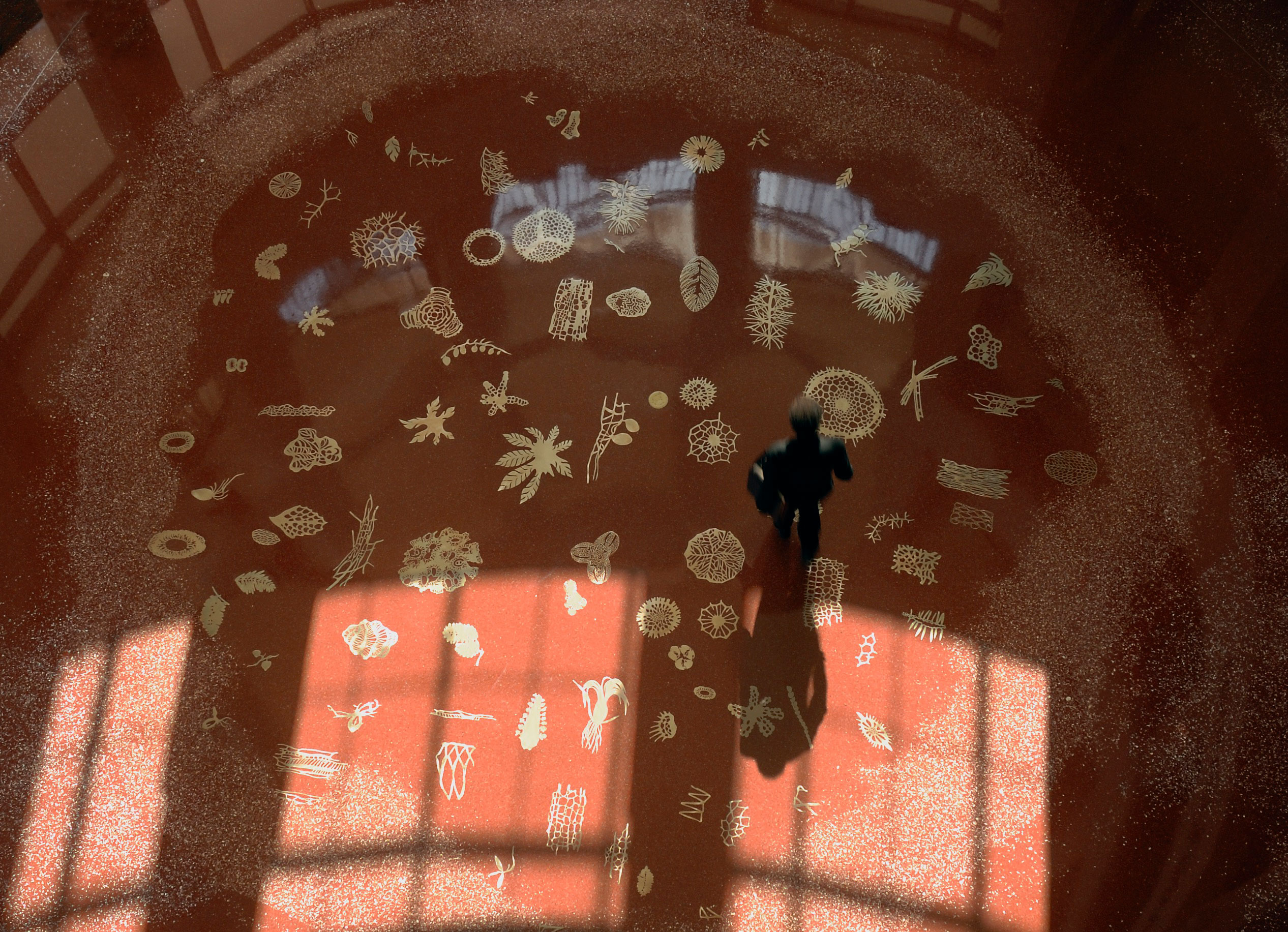 Michele Oka Doner | USF Public Art | Institute for Research in Art